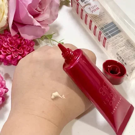 Shiseido Integrate Pro Finish BB Cream Long-Lasting Makeup 30g – Japanese Taste