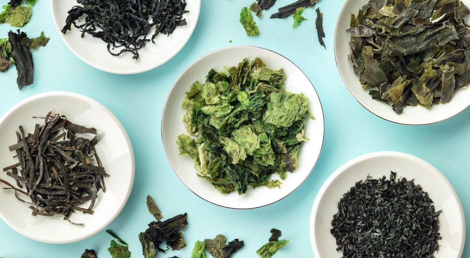 A Comprehensive Guide To Japanese Seaweed