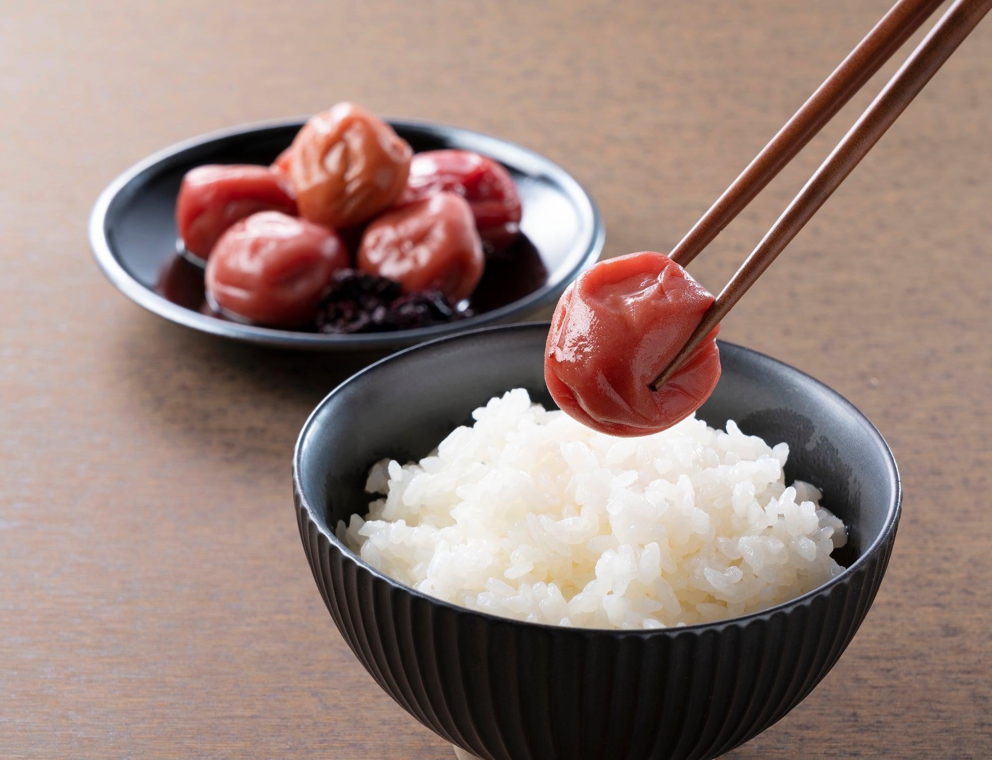 Buy Japanese Ume Plum Products Online